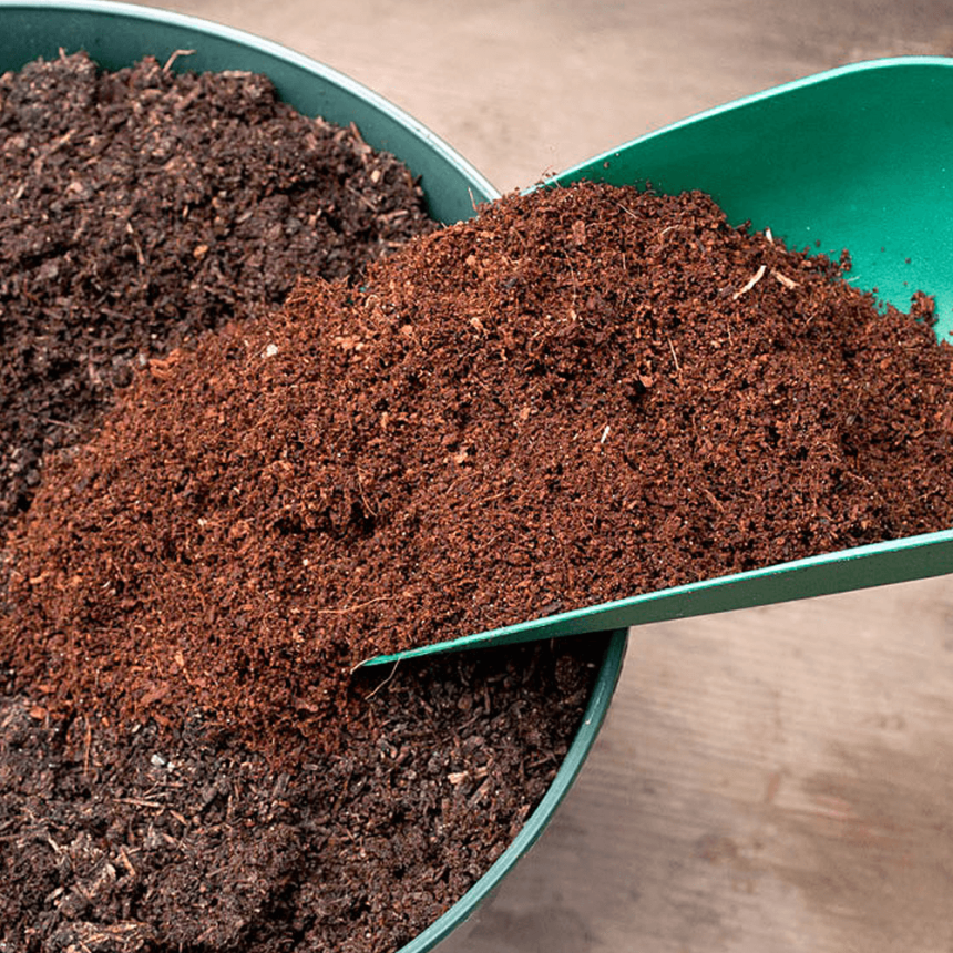 Coco Blok Premium - Hidroponika Kokosov Treset - Koko