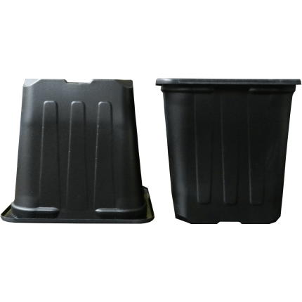 Saksija za rasad 9cm - Hidroponika