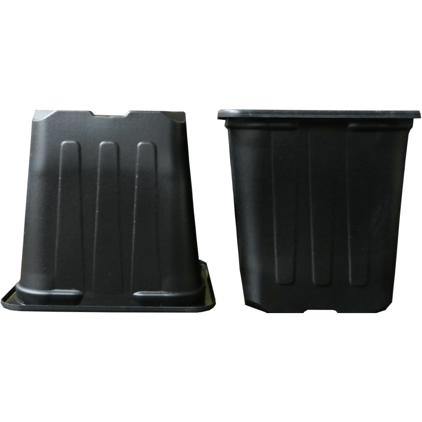 Saksija za rasad 9cm - Hidroponika