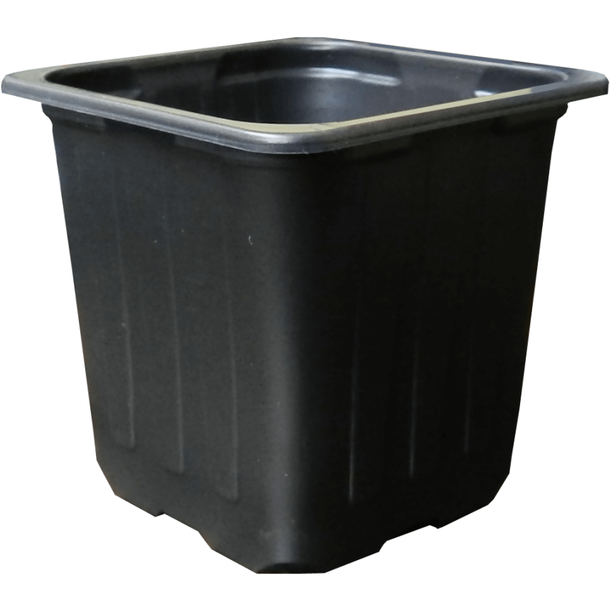 Saksija za rasad 9cm - Hidroponika